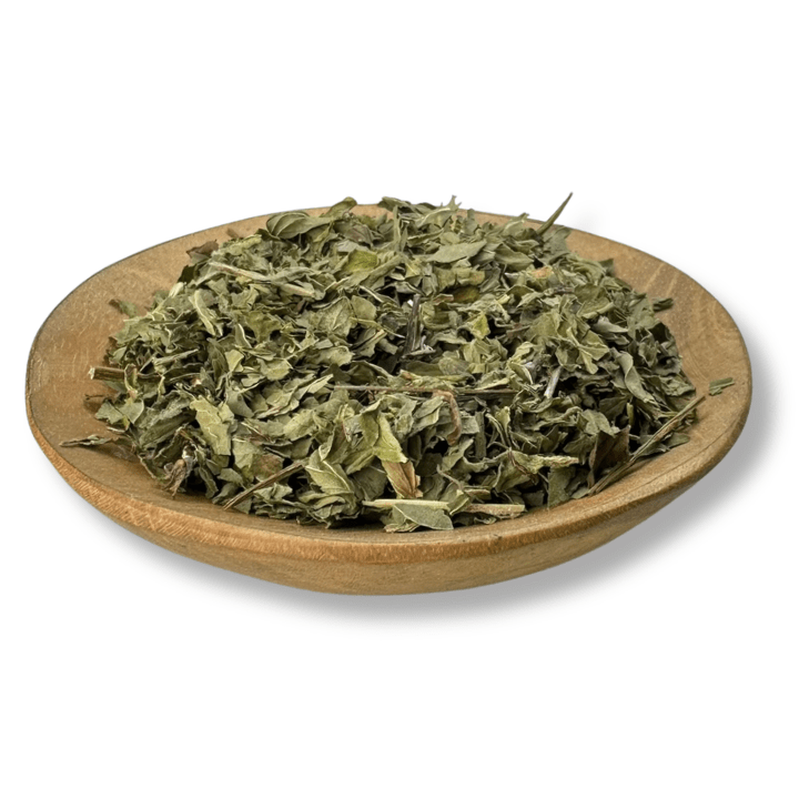 All about Peppermint – Austral Herbs